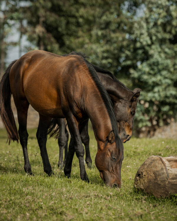 Farmhouse - Farmhouse Rwanda