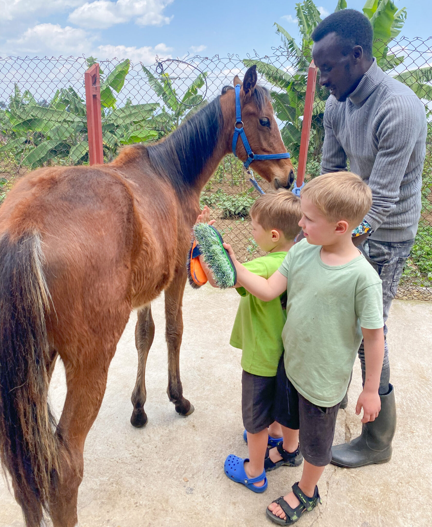 Home - Farmhouse Rwanda