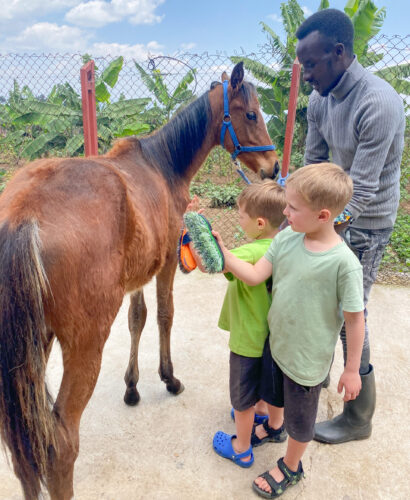Home - Farmhouse Rwanda