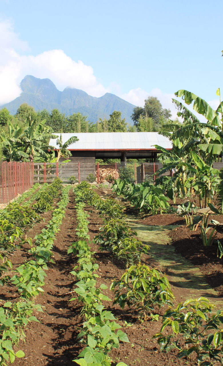 About us - Farmhouse Rwanda