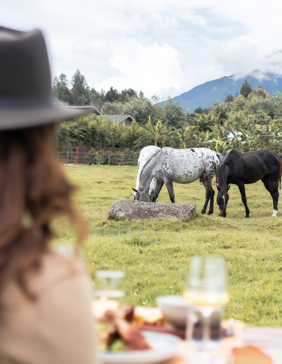 Home - Farmhouse Rwanda