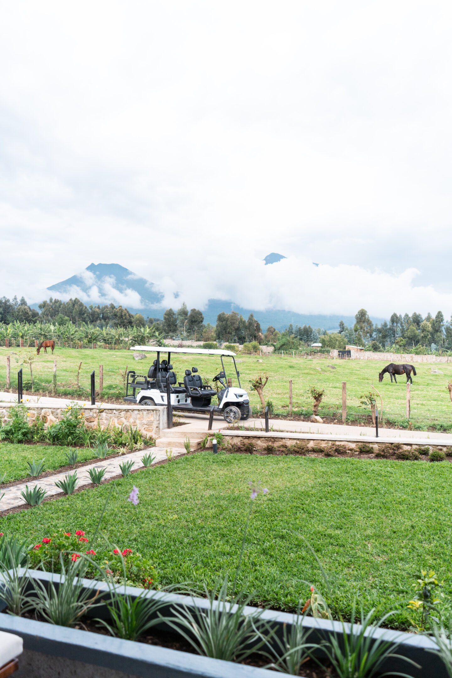 Home - Farmhouse Rwanda